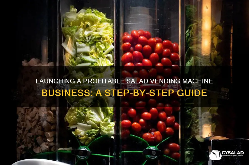 Launching A Profitable Salad Vending Machine Business: A Step-By-Step ...