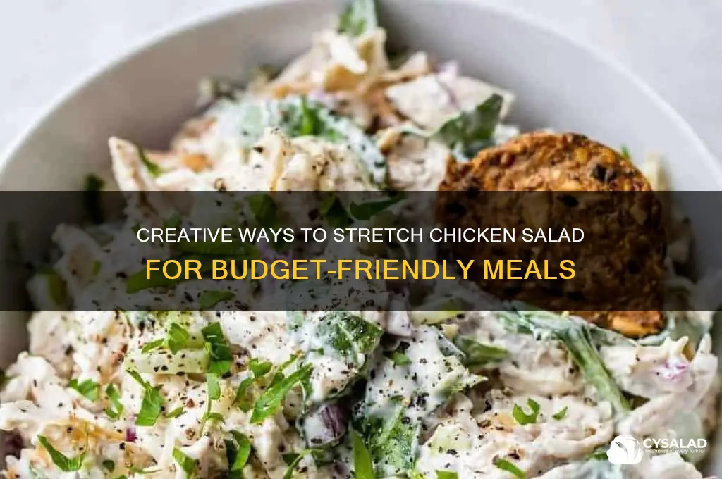 Creative Ways To Stretch Chicken Salad For Budget-Friendly Meals | CySalad