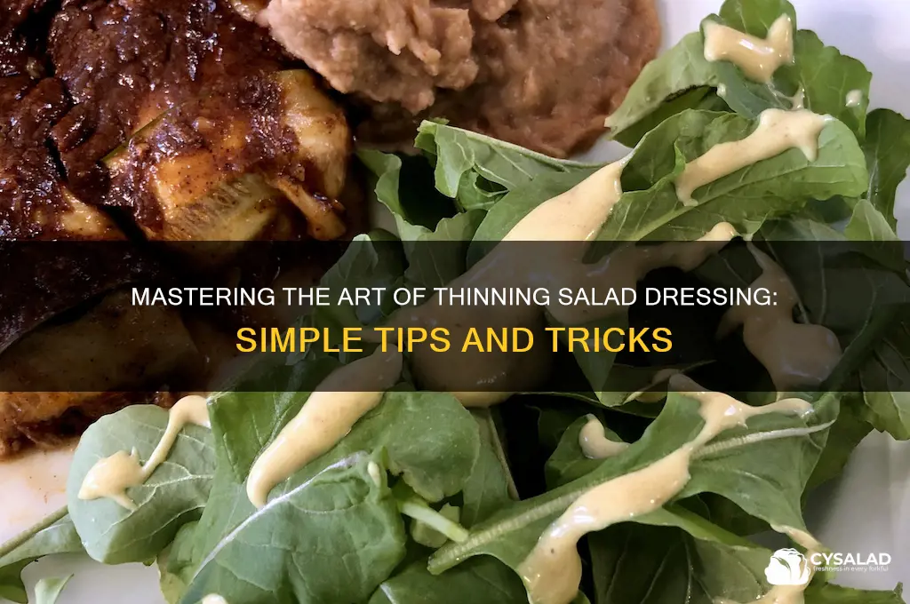 Mastering The Art Of Thinning Salad Dressing: Simple Tips And Tricks ...