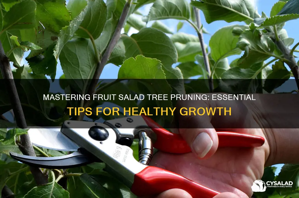 Mastering Fruit Salad Tree Pruning: Essential Tips For Healthy Growth ...