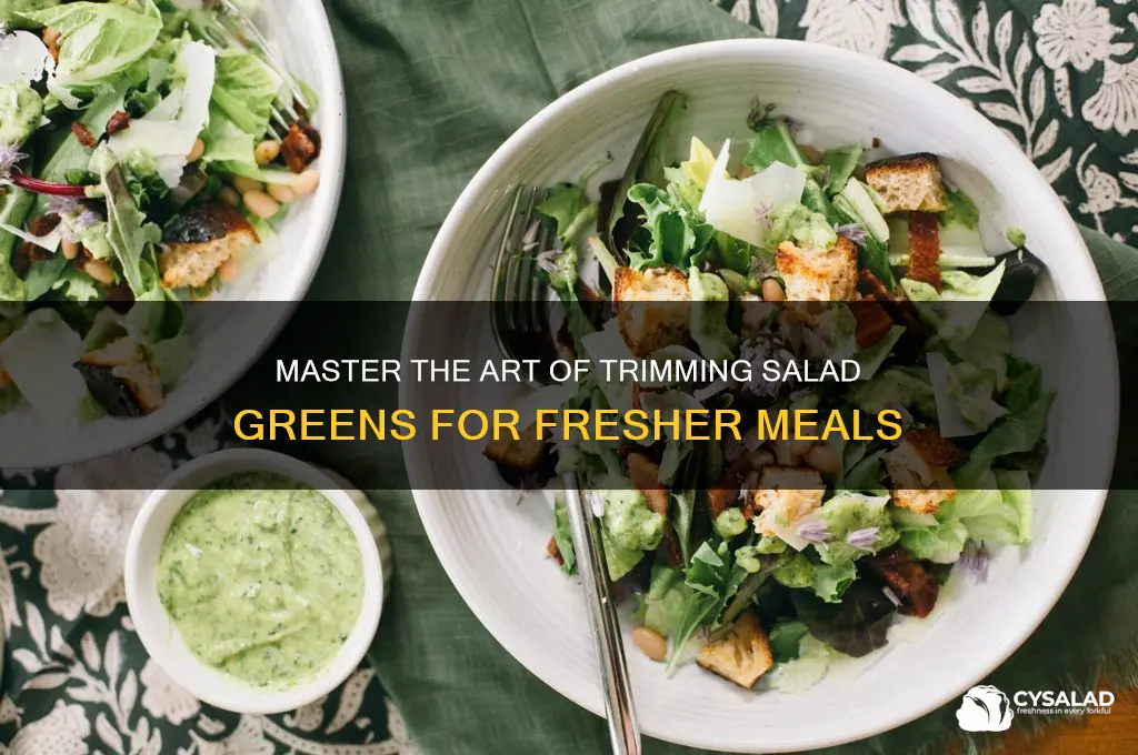 Master The Art Of Trimming Salad Greens For Fresher Meals | CySalad