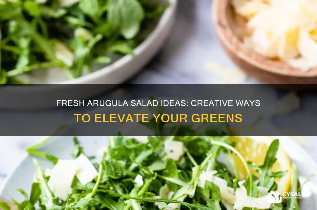 Fresh Arugula Salad Ideas: Creative Ways To Elevate Your Greens | CySalad