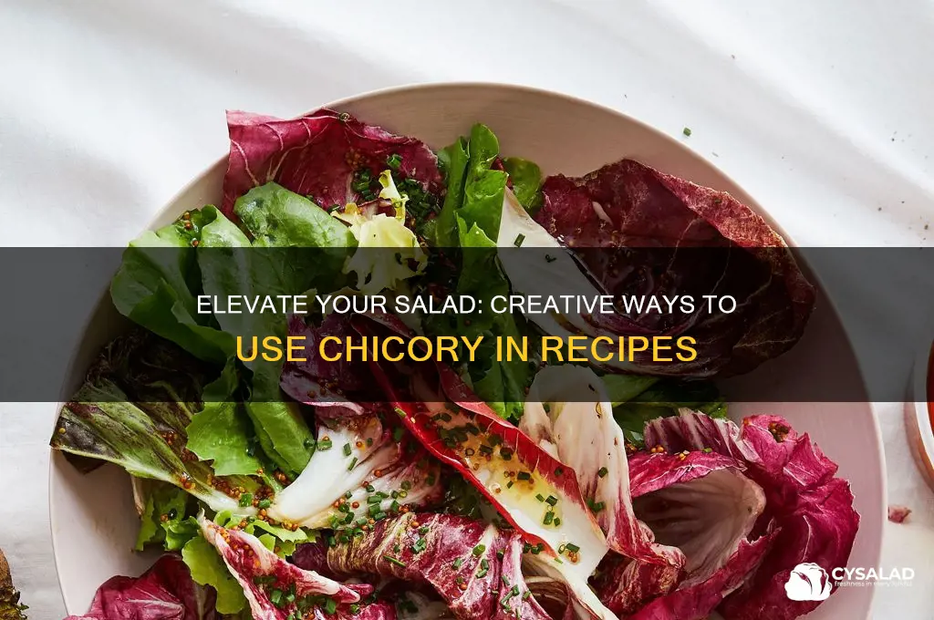Elevate Your Salad: Creative Ways To Use Chicory In Recipes | CySalad