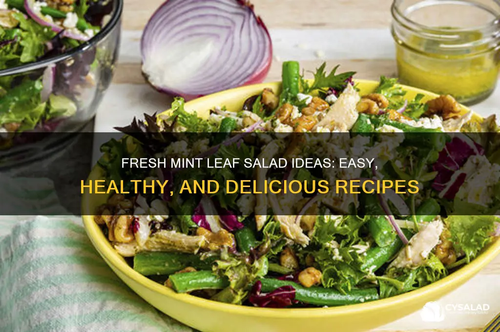 Fresh Mint Leaf Salad Ideas: Easy, Healthy, And Delicious Recipes | CySalad