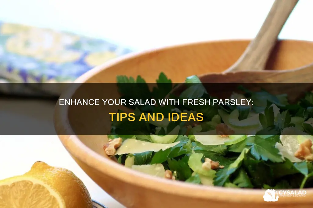 Enhance Your Salad With Fresh Parsley: Tips And Ideas | CySalad