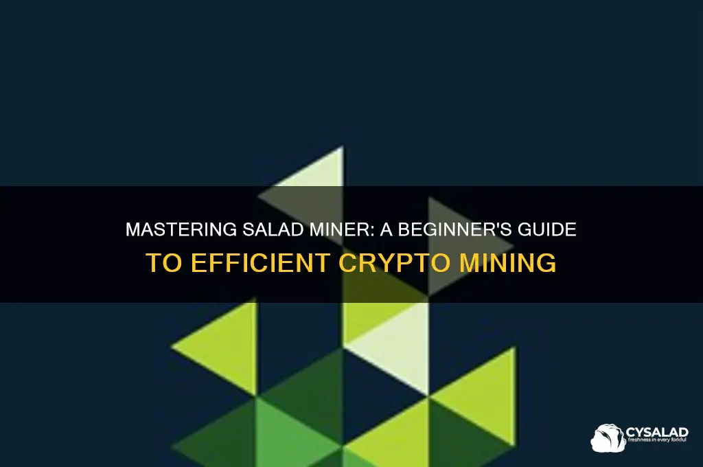 Mastering Salad Miner: A Beginner's Guide To Efficient Crypto Mining ...