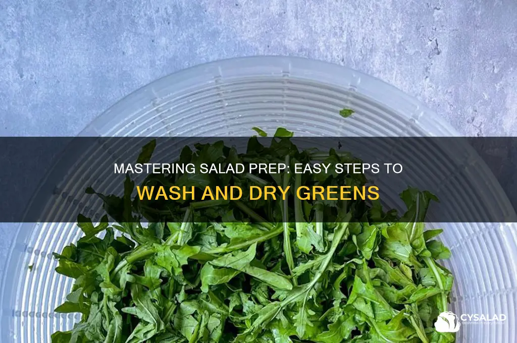 Mastering Salad Prep: Easy Steps To Wash And Dry Greens | CySalad