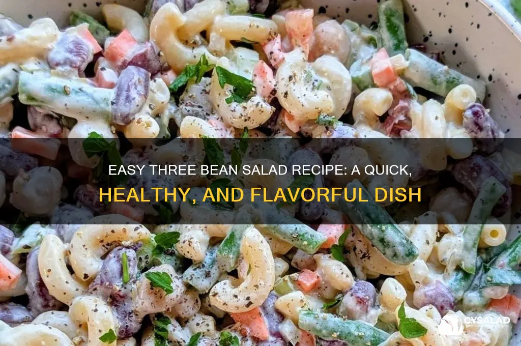 Easy Three Bean Salad Recipe: A Quick, Healthy, And Flavorful Dish ...