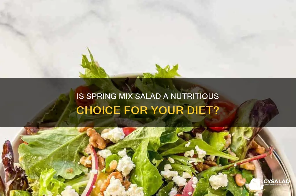 Is Spring Mix Salad A Nutritious Choice For Your Diet? | CySalad