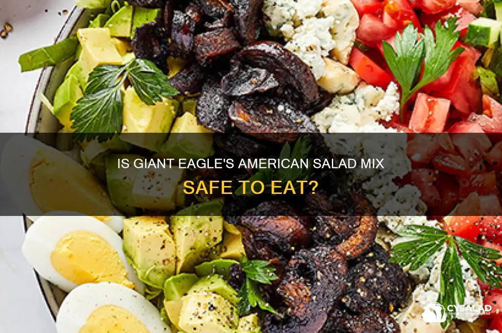 Is Giant Eagle's American Salad Mix Safe To Eat? | CySalad