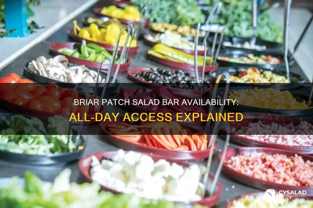 Briar Patch Salad Bar Availability: All-Day Access Explained | CySalad