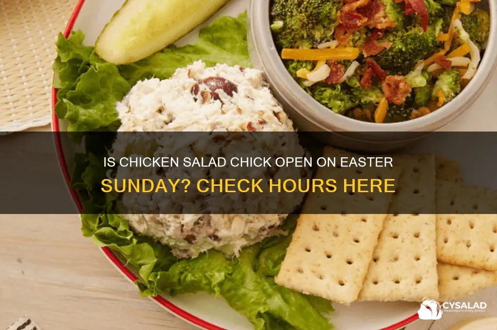 Is Chicken Salad Chick Open On Easter Sunday? Check Hours Here | CySalad