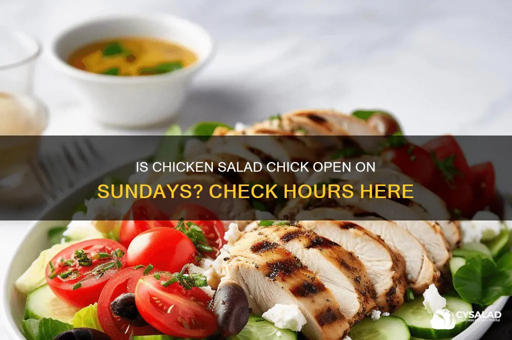 Is Chicken Salad Chick Open On Sundays? Check Hours Here | CySalad