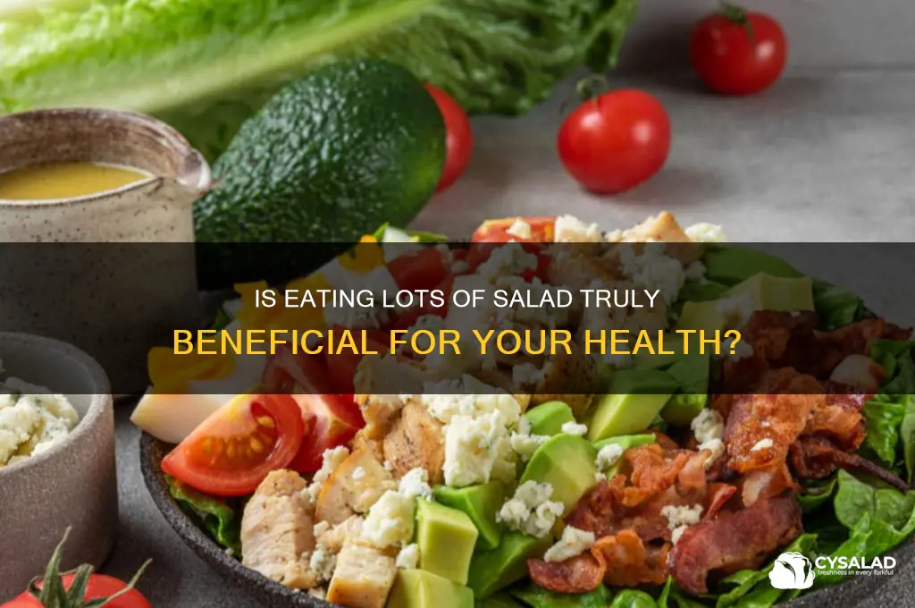 Is Eating Lots Of Salad Truly Beneficial For Your Health? | CySalad