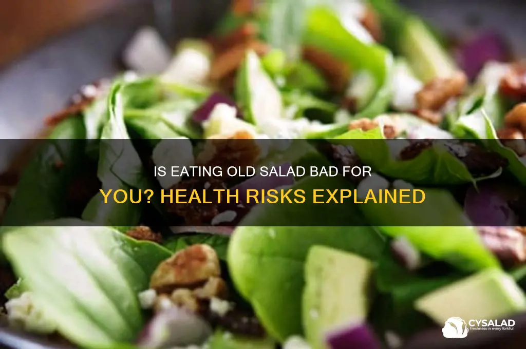 Is Eating Old Salad Bad For You? Health Risks Explained | CySalad
