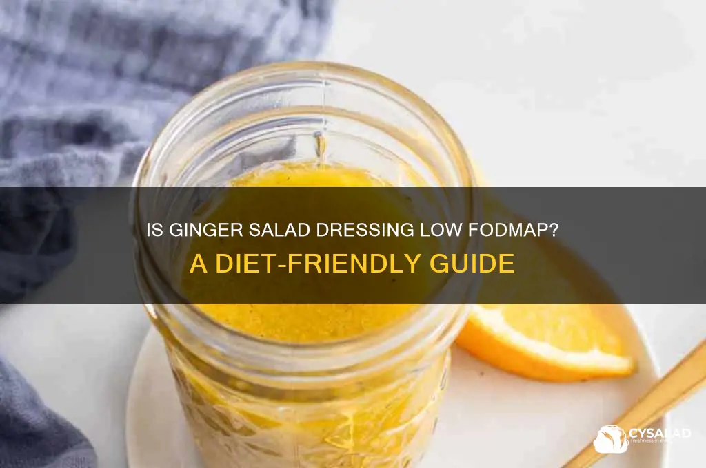 Is Ginger Salad Dressing Low Fodmap? A Diet-Friendly Guide | CySalad
