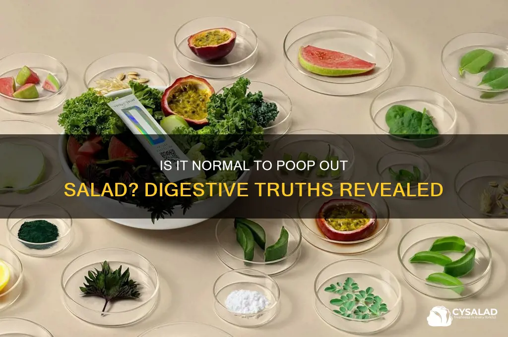 Is It Normal To Poop Out Salad? Digestive Truths Revealed | CySalad