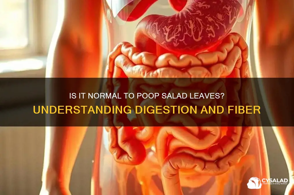 Is It Normal To Poop Salad Leaves? Understanding Digestion And Fiber ...