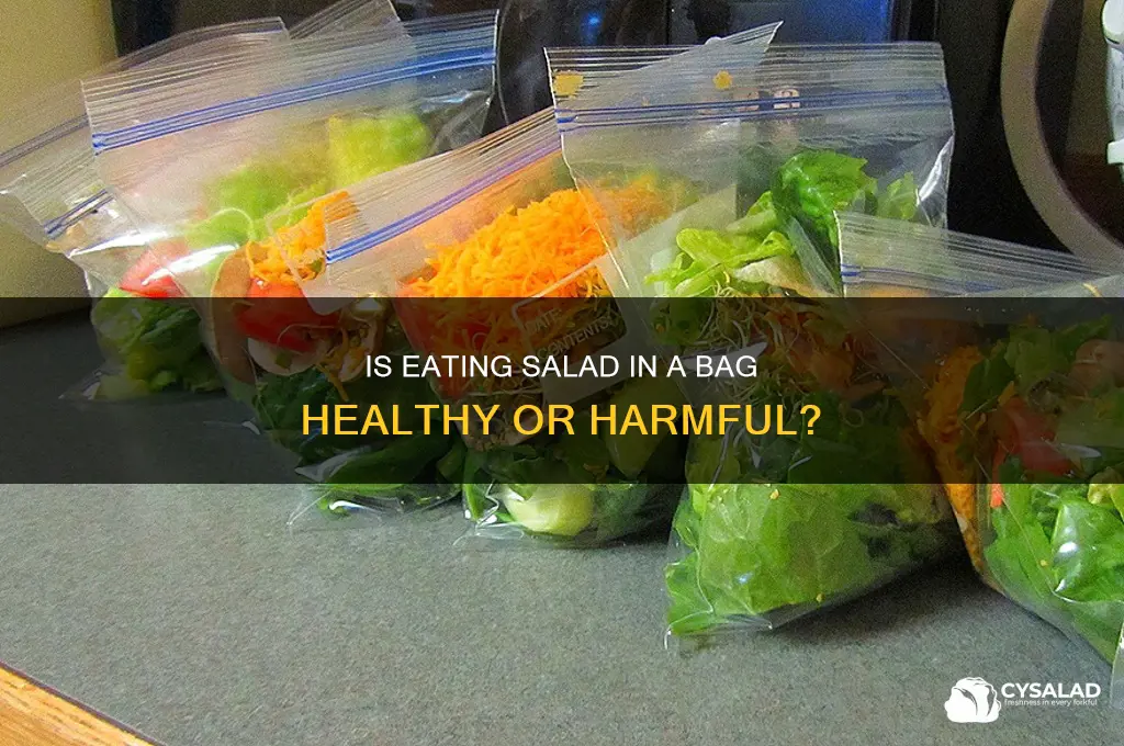 Is Eating Salad In A Bag Healthy Or Harmful? | CySalad