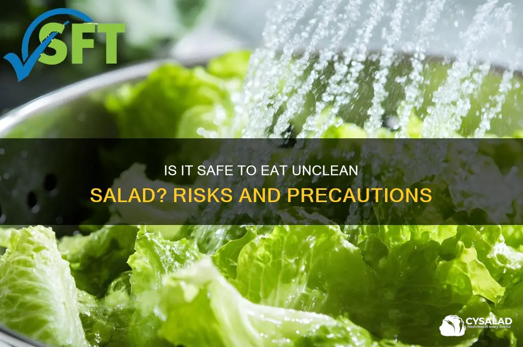 Is It Safe To Eat Unclean Salad? Risks And Precautions | CySalad