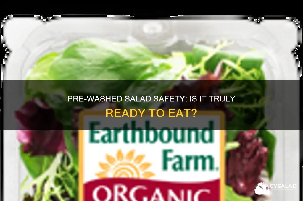 Pre-Washed Salad Safety: Is It Truly Ready To Eat? | CySalad