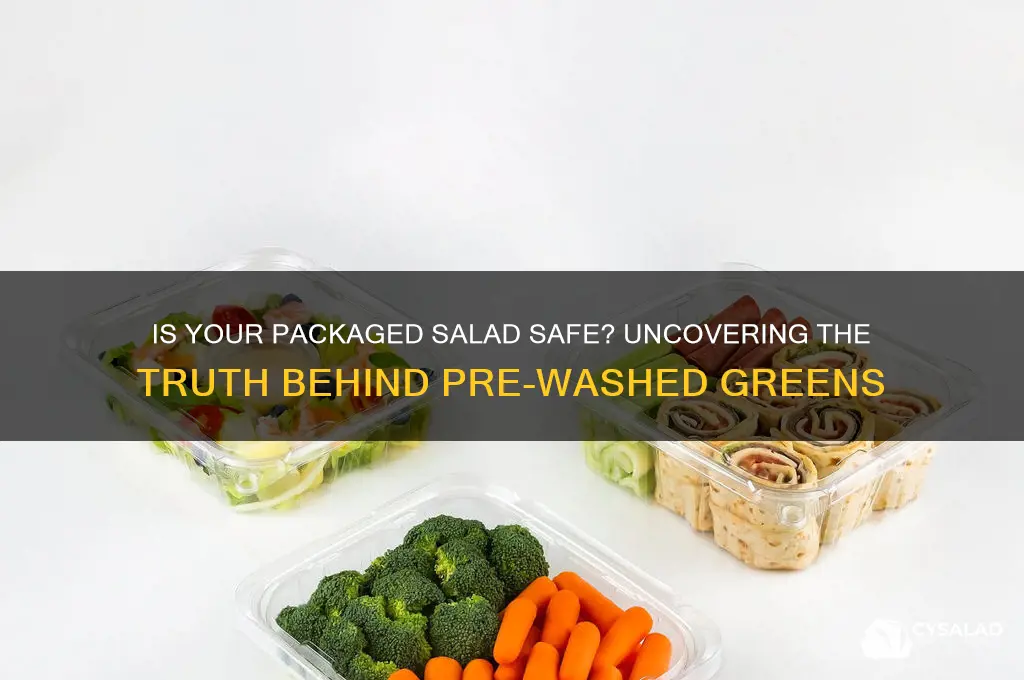 Is Your Packaged Salad Safe? Uncovering The Truth Behind Pre-Washed ...