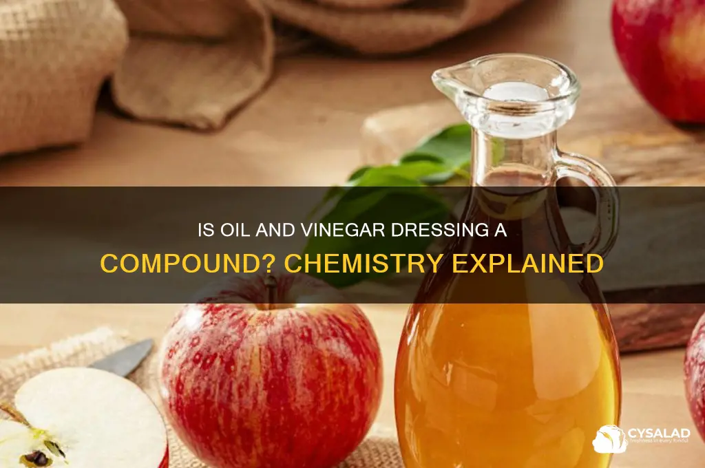 Is Oil And Vinegar Dressing A Compound? Chemistry Explained | CySalad