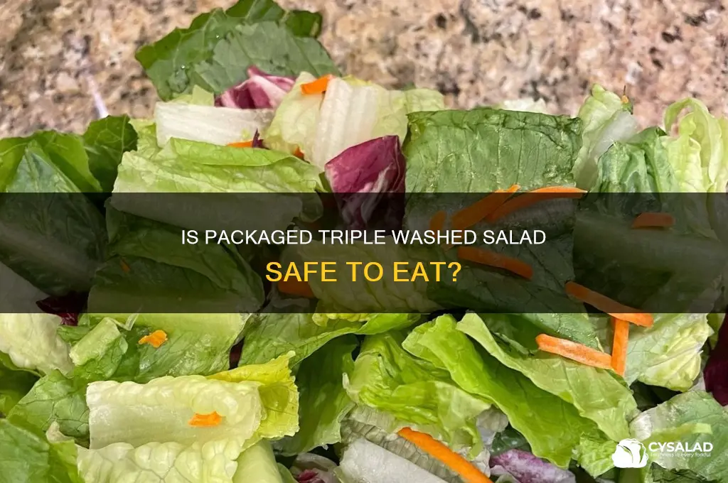 Is Packaged Triple Washed Salad Safe To Eat? | CySalad