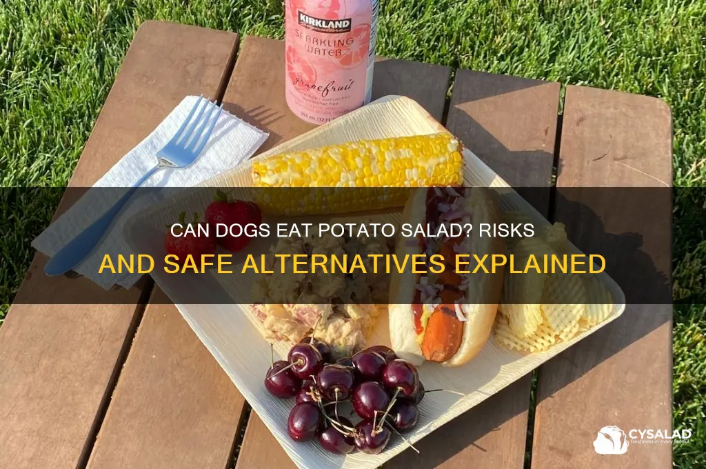 Can Dogs Eat Potato Salad? Risks And Safe Alternatives Explained | CySalad