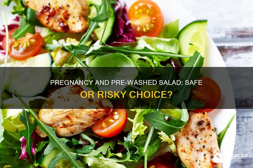 Pregnancy And Pre-Washed Salad: Safe Or Risky Choice? | CySalad