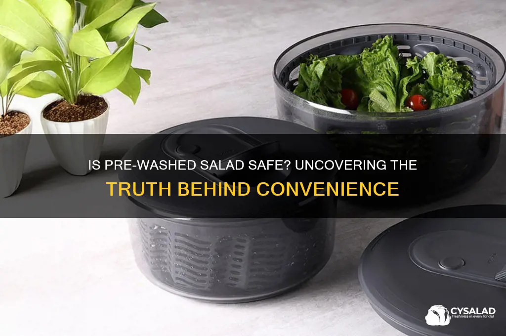 Is Pre-Washed Salad Safe? Uncovering The Truth Behind Convenience | CySalad