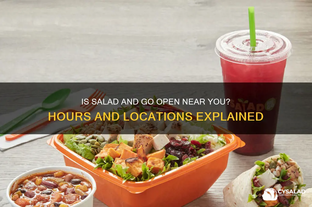Is Salad And Go Open Near You? Hours And Locations Explained | CySalad