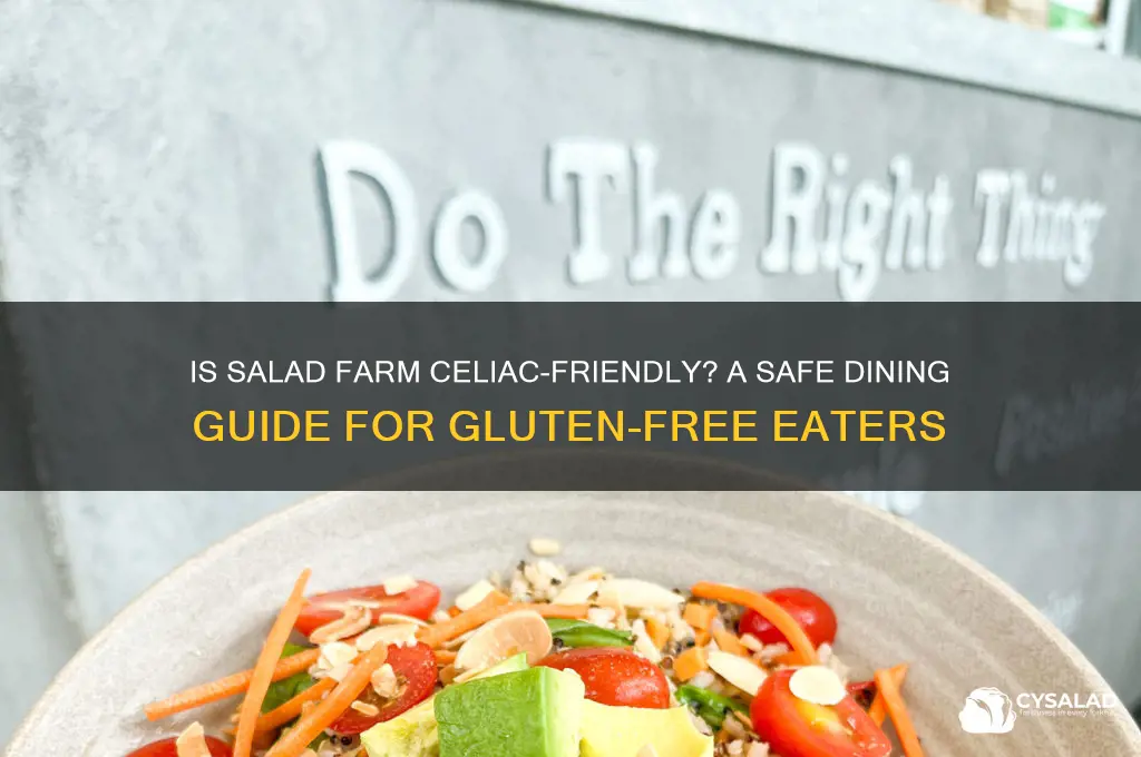 Is Salad Farm Celiac-Friendly? A Safe Dining Guide For Gluten-Free ...