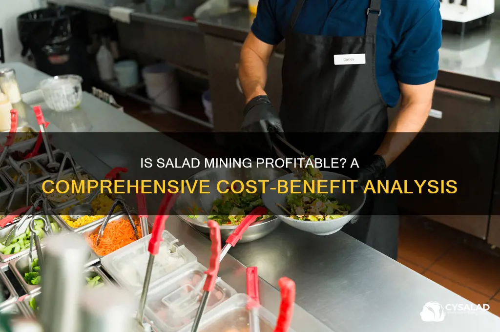Is Salad Mining Profitable? A Comprehensive Cost-Benefit Analysis | CySalad