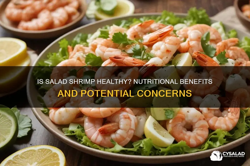 Is Salad Shrimp Healthy? Nutritional Benefits And Potential Concerns ...