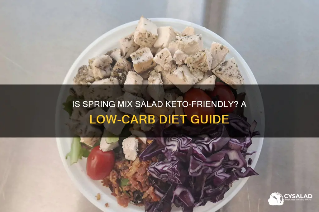 Is Spring Mix Salad Keto-Friendly? A Low-Carb Diet Guide | CySalad