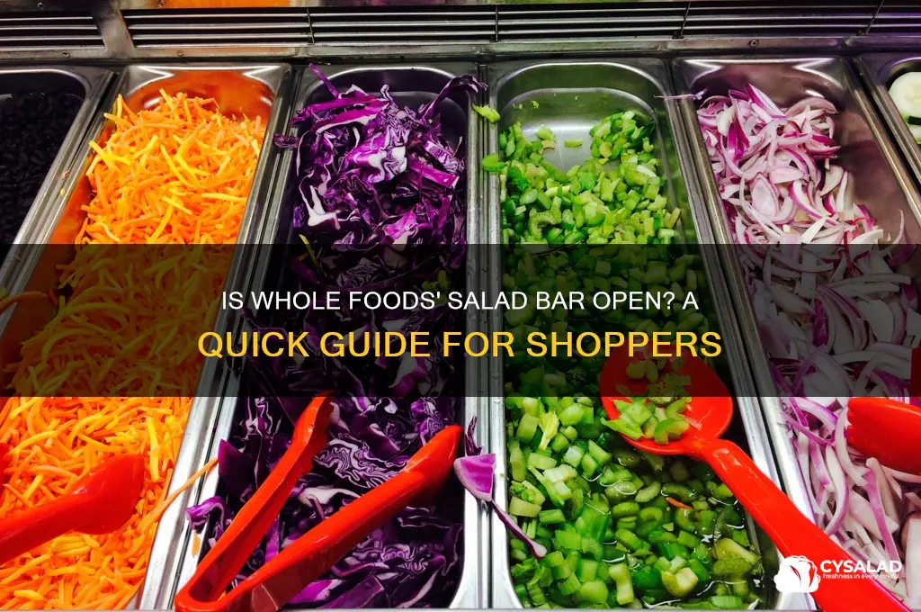 Is Whole Foods' Salad Bar Open? A Quick Guide For Shoppers | CySalad