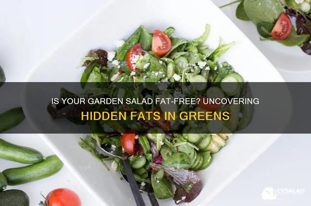 Is Your Garden Salad Fat-Free? Uncovering Hidden Fats In Greens | CySalad