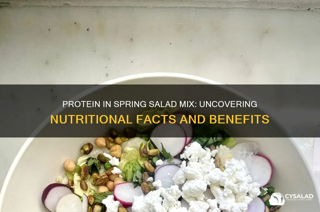 Protein In Spring Salad Mix: Uncovering Nutritional Facts And Benefits ...