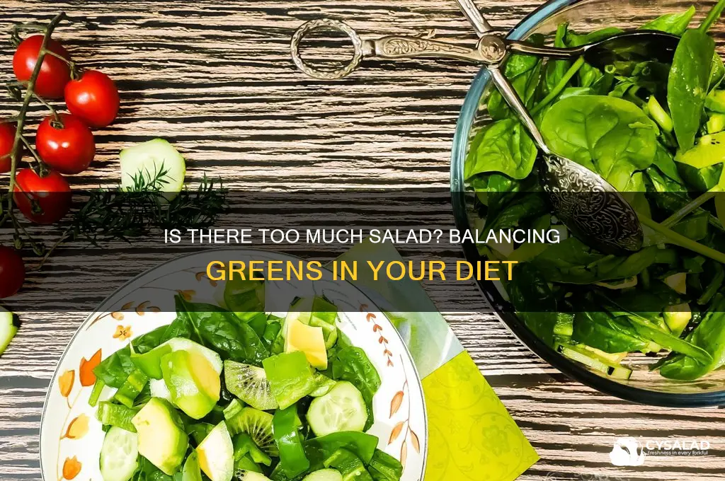 Is There Too Much Salad? Balancing Greens In Your Diet | CySalad