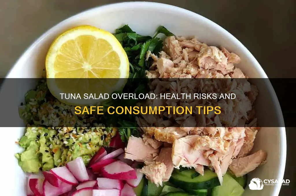 Tuna Salad Overload: Health Risks And Safe Consumption Tips | CySalad