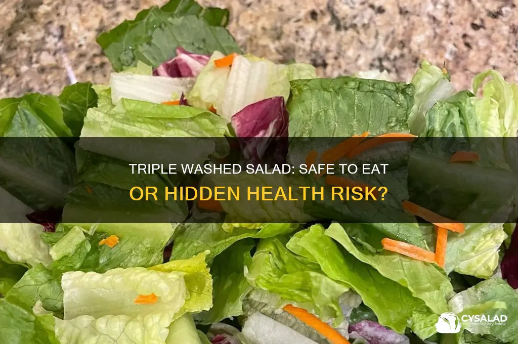 Triple Washed Salad: Safe To Eat Or Hidden Health Risk? | CySalad