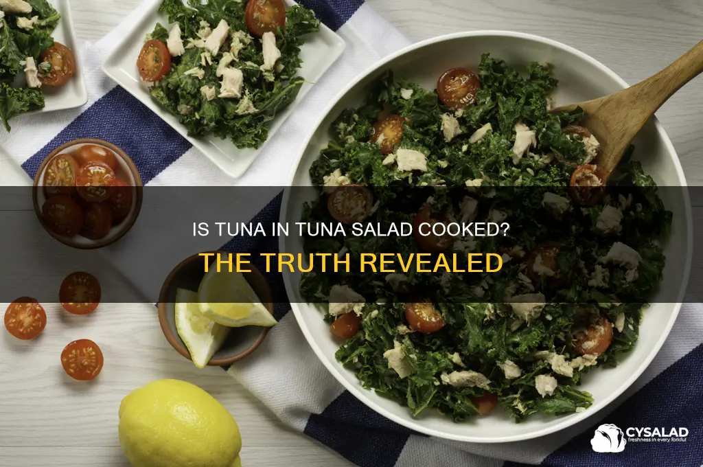 Is Tuna In Tuna Salad Cooked? The Truth Revealed | CySalad