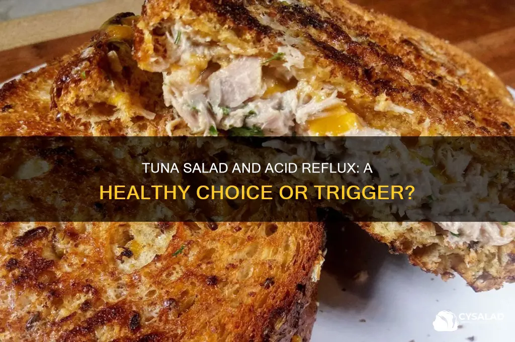 Tuna Salad And Acid Reflux: A Healthy Choice Or Trigger? | CySalad