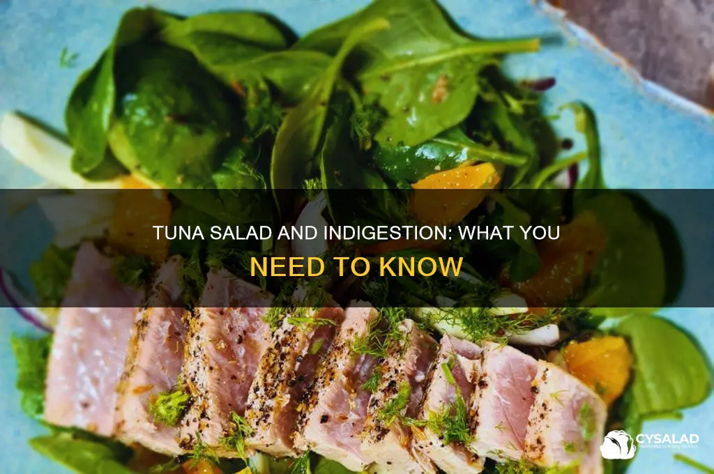 Tuna Salad And Indigestion: What You Need To Know | CySalad