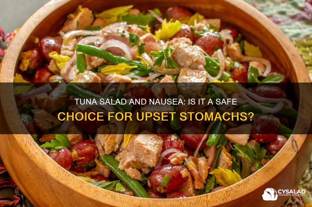 Tuna Salad And Nausea: Is It A Safe Choice For Upset Stomachs? | CySalad