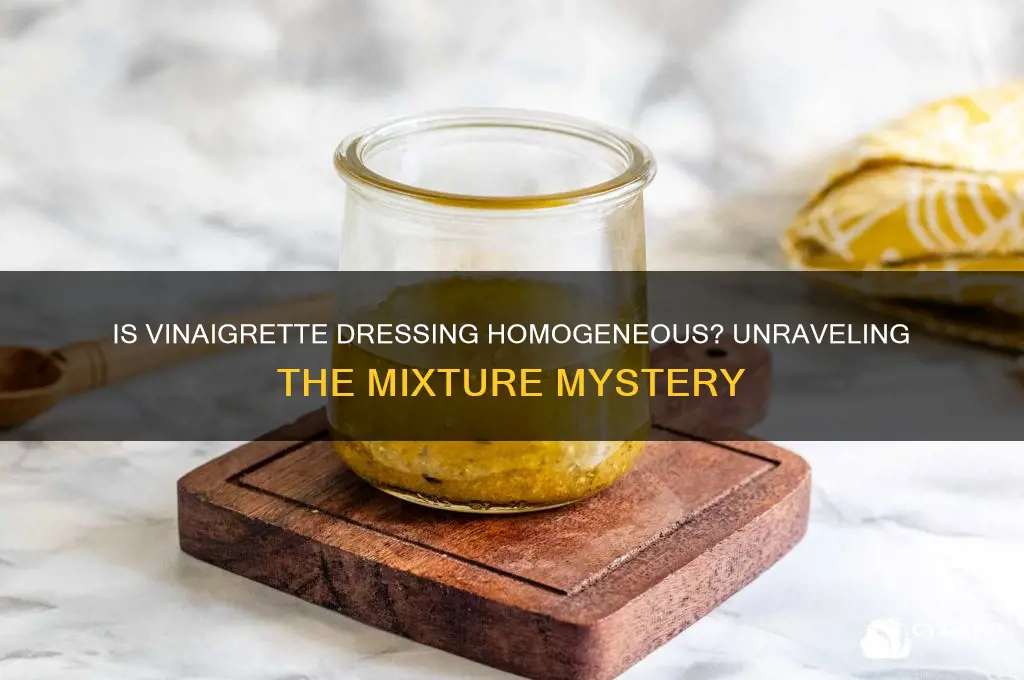 Is Vinaigrette Dressing Homogeneous? Unraveling The Mixture Mystery ...