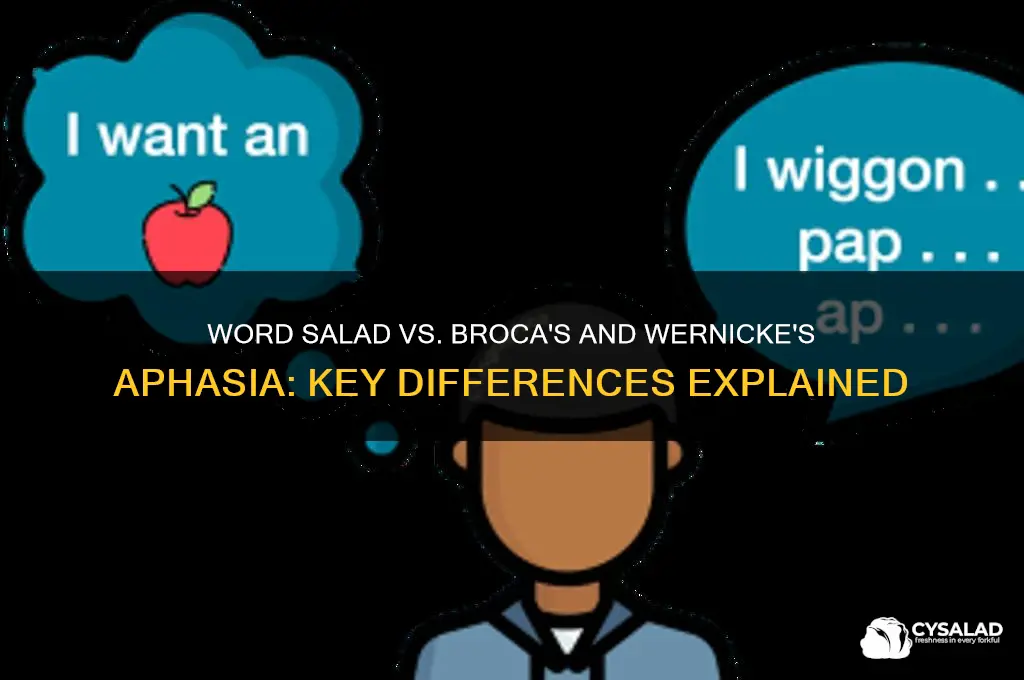 Word Salad Vs. Broca's And Wernicke's Aphasia: Key Differences ...