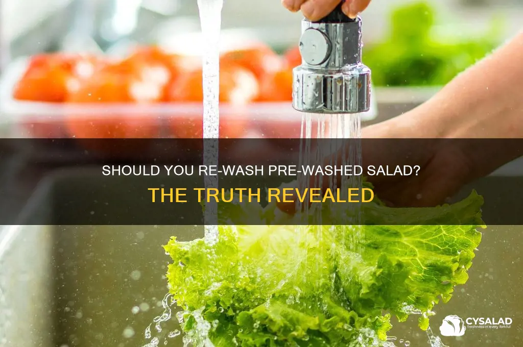 Should You Re-Wash Pre-Washed Salad? The Truth Revealed | CySalad
