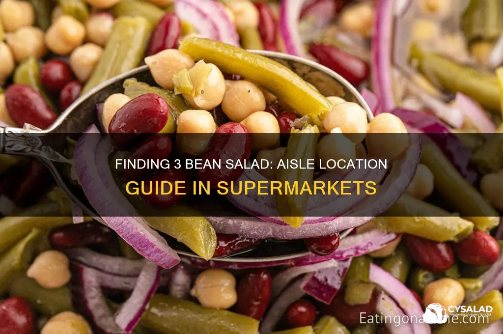 Finding 3 Bean Salad: Aisle Location Guide In Supermarkets | CySalad
